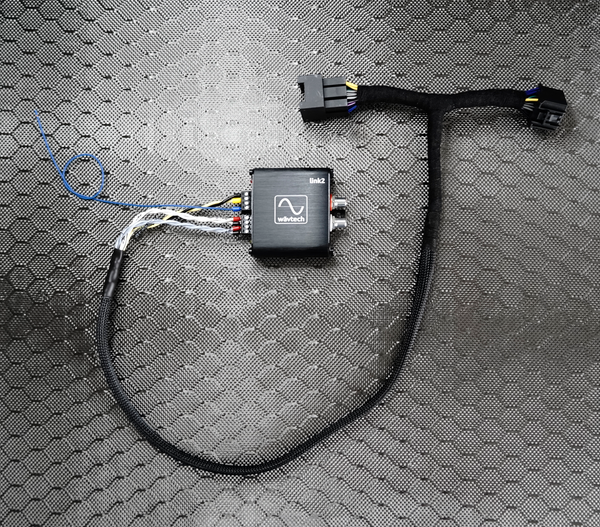 Ford T-harness 2019-2024 (Non-Amplified) R2G